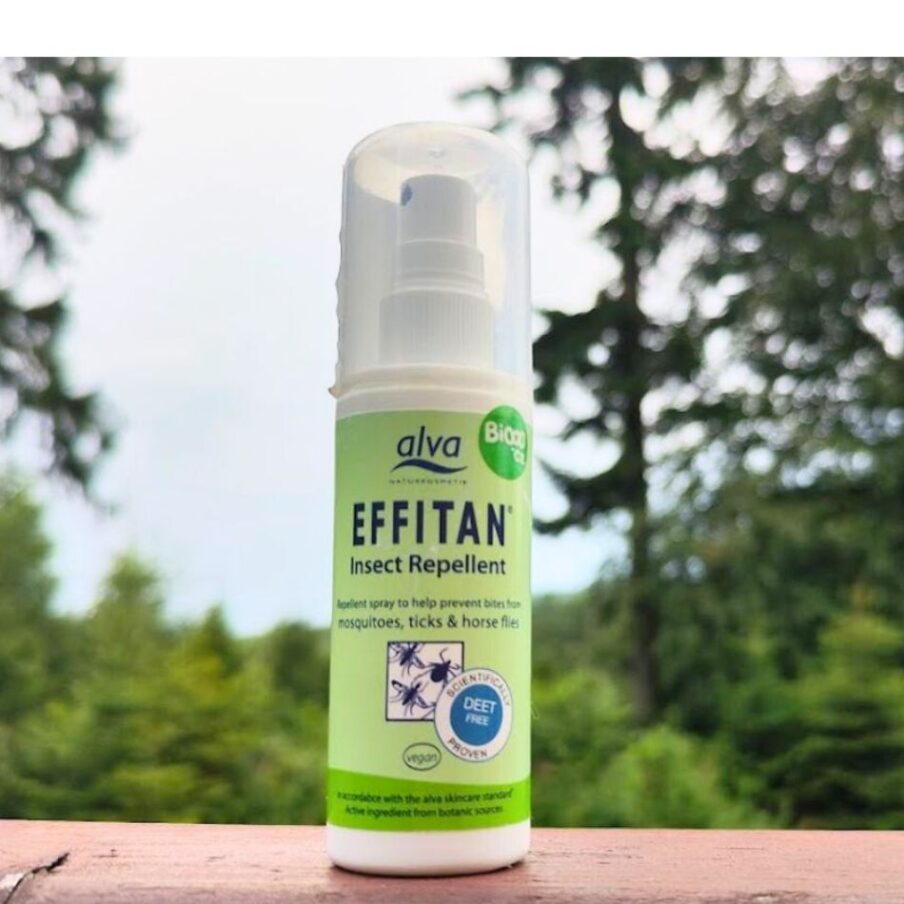 18 tipů na nejlepší animované filmy pro děti v roce 2025 | Rodičovo.cz